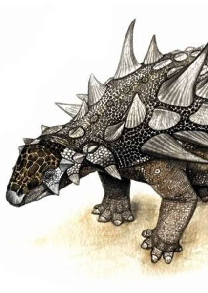 Acanthopholis Fan Casting