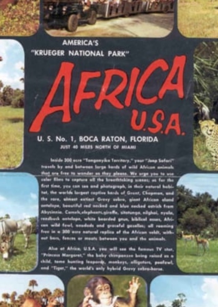 Africa U.S.A. (Boca Raton) Fan Casting