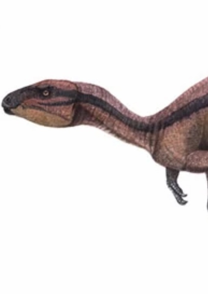 Photos of Agilisaurus on myCast - Fan Casting Your Favorite Stories