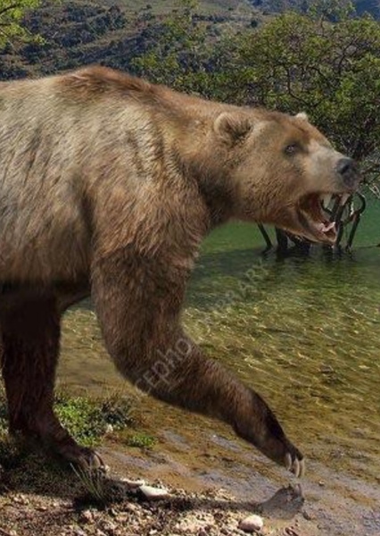 Agriotherium Fan Casting