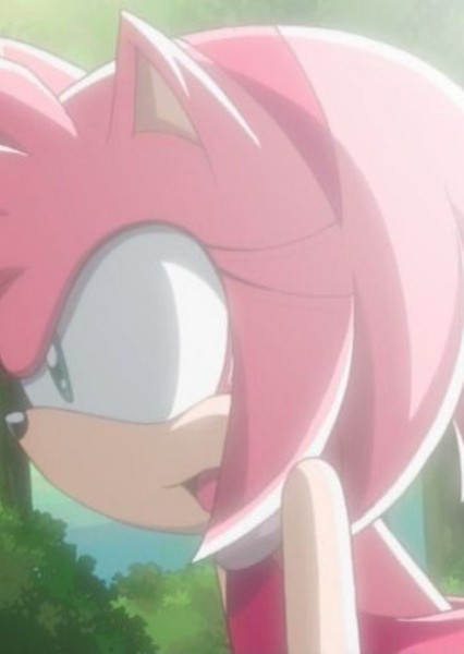 Amy Rose (Sonic X) Photo on myCast - Fan Casting Your Favorite Stories