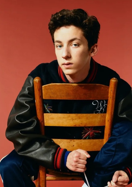 The Incredible Hulk Cinematic Universe 2036-2048 And The She Hulk 2051 ...