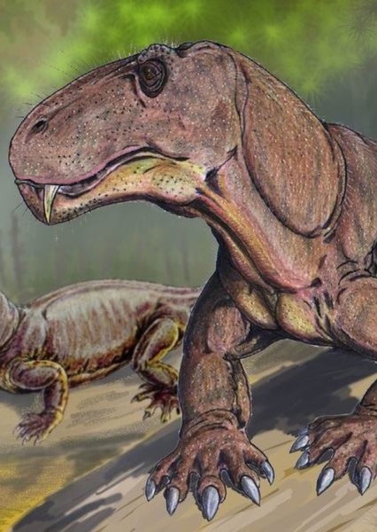 Anteosauridae Fan Casting
