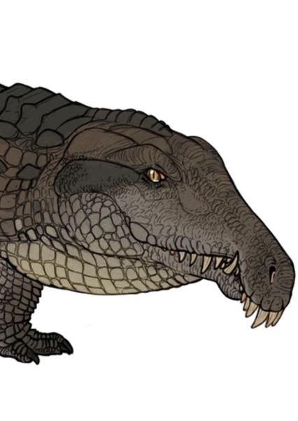 Photos of Archosaurus on myCast - Fan Casting Your Favorite Stories