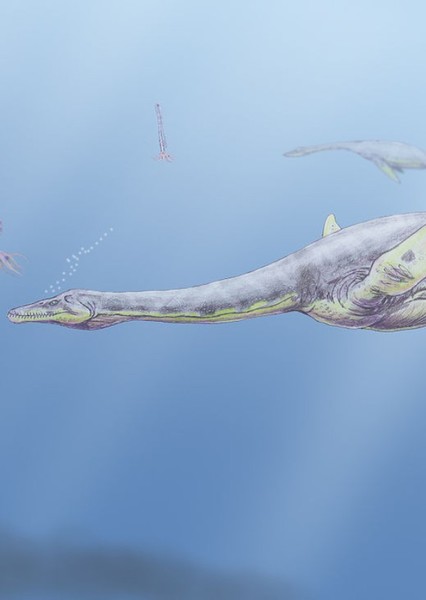 Aristonectes Fan Casting