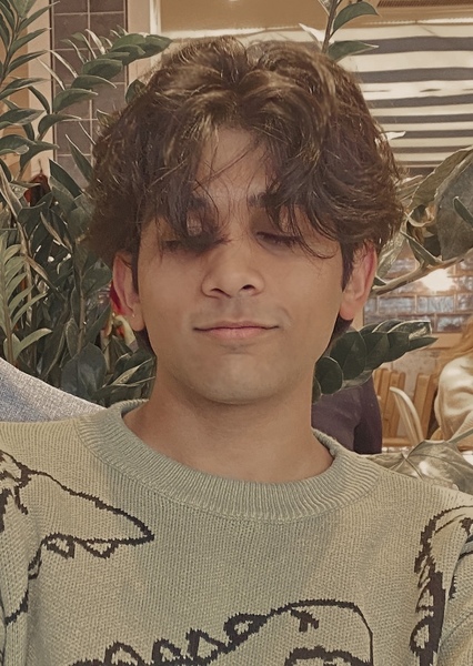 Fan Casting Dylan O'Brien as Ravi Singh in A Good Girl's Guide to ...