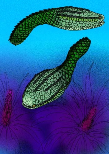 Astraspis Fan Casting