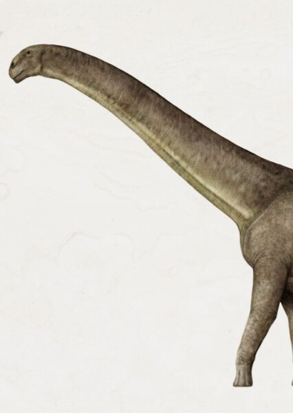 Atsinganosaurus Fan Casting