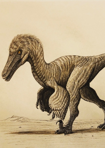 Austroraptor Photo on myCast - Fan Casting Your Favorite Stories