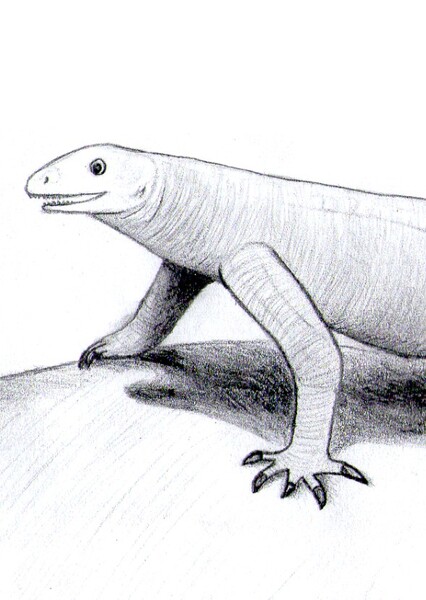 Geosaurus Fan Casting