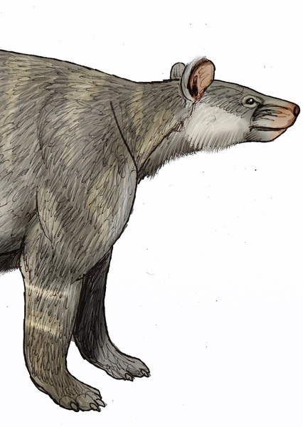 Bemalambda Fan Casting