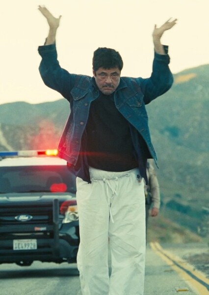 Fan Casting Benicio del Toro as Best Supporting Actor in Our ...