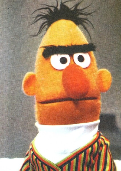 Bert (Sesame Street) on myCast - Fan Casting Your Favorite Stories