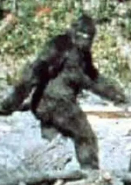 Bigfoot on myCast - Fan Casting Your Favorite Stories