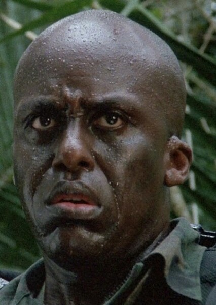 The Flash (80s) Fan Casting on myCast