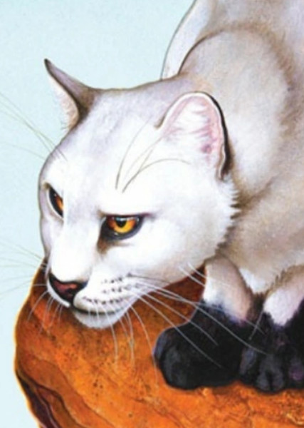 Blackstar (Warrior Cats) Photo on myCast - Fan Casting Your Favorite ...