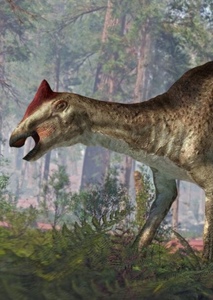 Photos of Bonapartesaurus on myCast - Fan Casting Your Favorite Stories