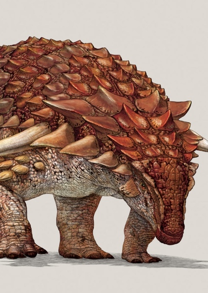 Borealopelta Fan Casting