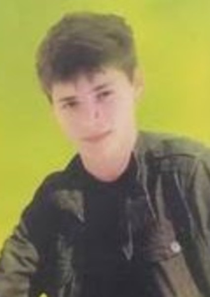 Bryce Loski Fan Casting