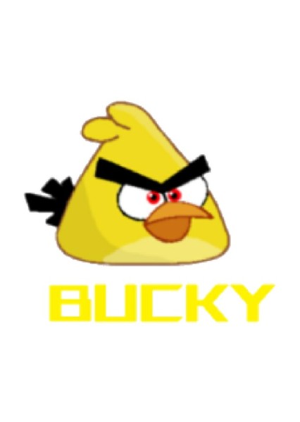 Bucky (Angry Birds) Photo on myCast - Fan Casting Your Favorite Stories