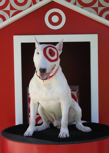 Bull Terrier Fan Casting for Fictional Dogs by Breed | myCast - Fan ...