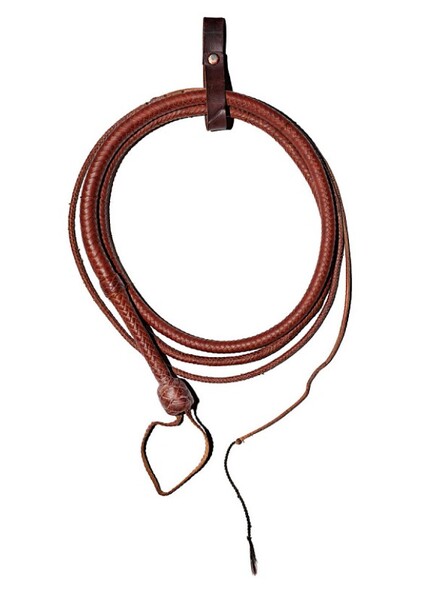 Bullwhip Fan Casting