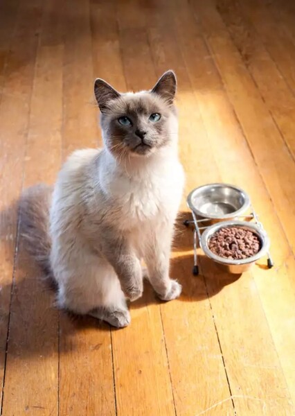 Browse Casting Suggestions by lukejamesbennett on myCast - Fan Casting ...