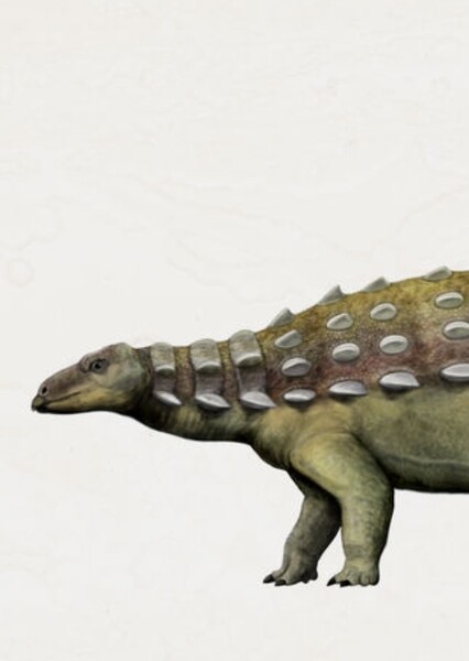 Cedarpelta Fan Casting