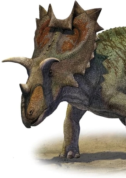 Ceratops Fan Casting