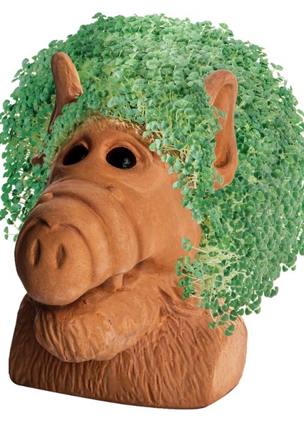 Chia Pet Photo on myCast - Fan Casting Your Favorite Stories