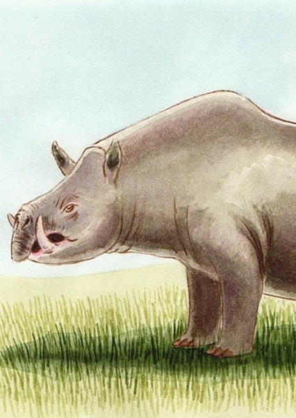 Chilotherium Fan Casting