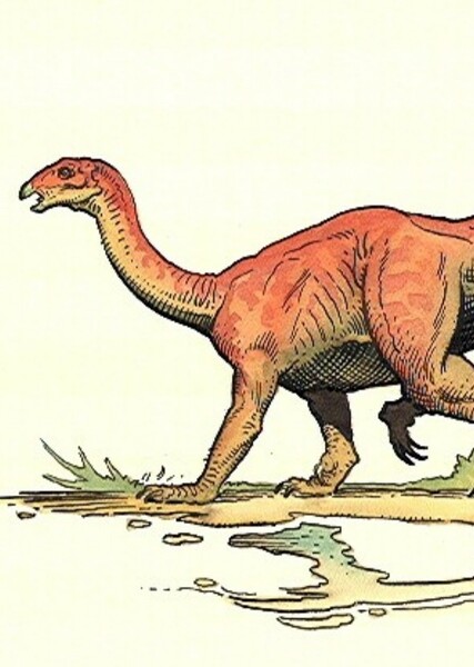 Coloradisaurus Fan Casting