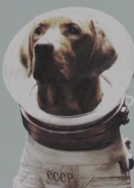 Cosmo (Marvel Cinematic Universe) Photo on myCast - Fan Casting Your ...