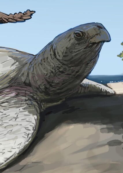 Mythunga Fan Casting