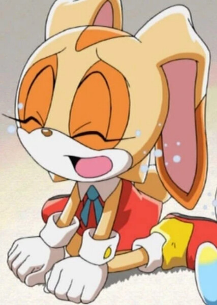 Cream the Rabbit (Sonic X) Photo on myCast - Fan Casting Your Favorite ...