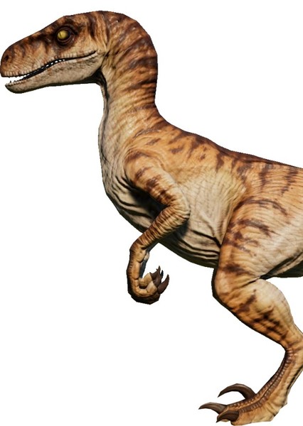 Subject O-5 (Velociraptor) Fan Casting for Prehistory Earth: Fort ...