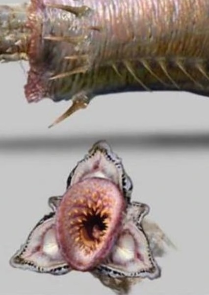 Reformation Pack: The Rise Of Rahmunrar (2036) Fan Casting on myCast