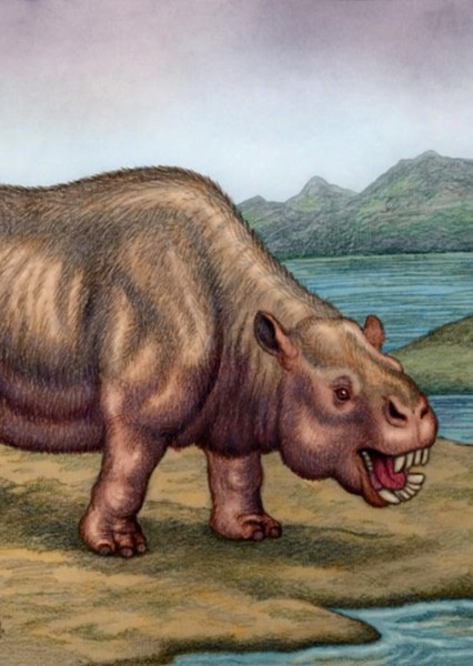 Mixotoxodon Fan Casting for The "Prehistory" Film Series (Prehistory ...