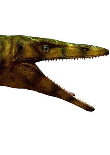 Photos of Dallasaurus on myCast - Fan Casting Your Favorite Stories