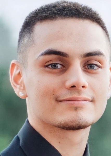 David Matthieu Viz Fan Casting