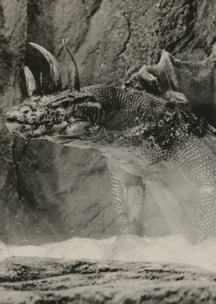 Dragonsaurus (The Lost World) Fan Casting