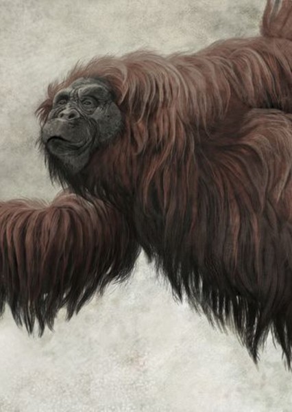 Dryopithecus Photo on myCast - Fan Casting Your Favorite Stories