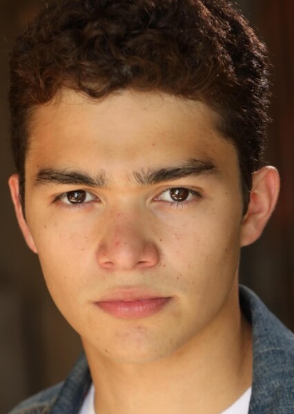 Power Rangers Ninja Fusion Fan Casting on myCast