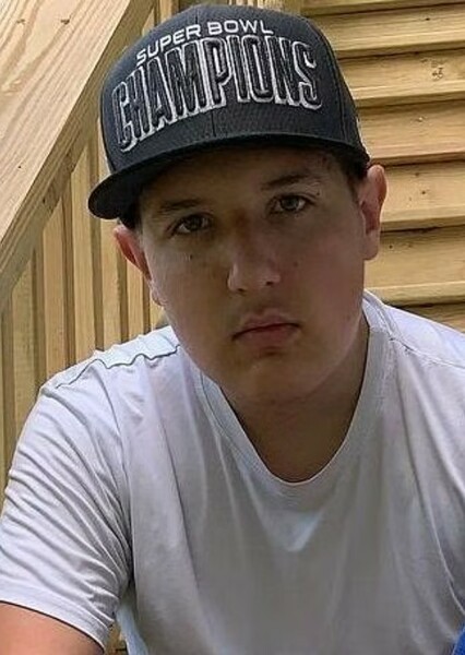 Donaldducc (UK Dub) Fan Casting on myCast