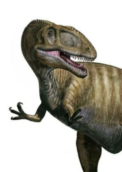 Eocarcharia Fan Casting