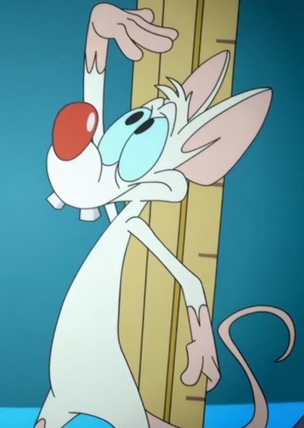 Fan Casting Eric Bauza as Pinky in New Voices for Pinky and The Brain ...