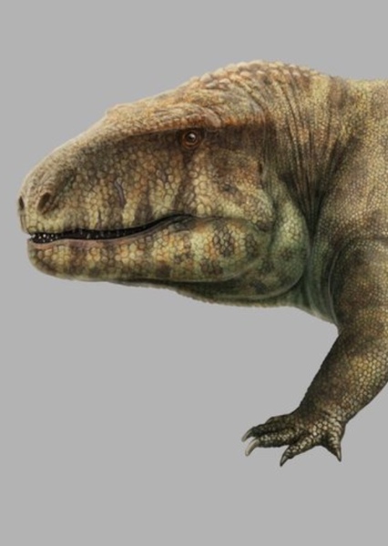 Erythrosuchus on myCast - Fan Casting Your Favorite Stories