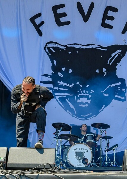 Fever 333 Fan Casting