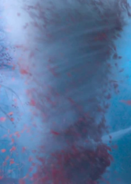 Gale on myCast - Fan Casting Your Favorite Stories