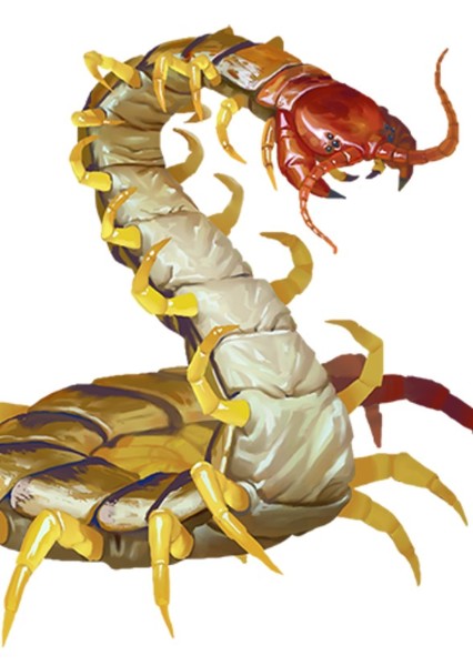 Fan Casting Giant Centipede as Creatures Featured in KING KONG on myCast